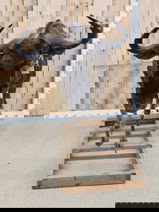 Blue Marlin Full Body Taxidermy