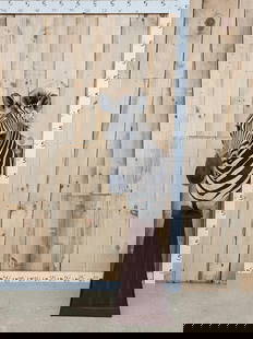 Beautiful Zebra Pedestal Taxidermy