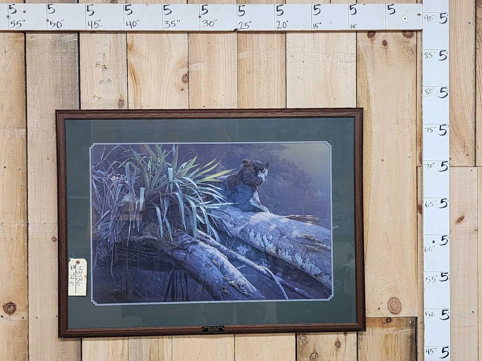 Daniel Smith Artist Proof Apparition Of The Amazon