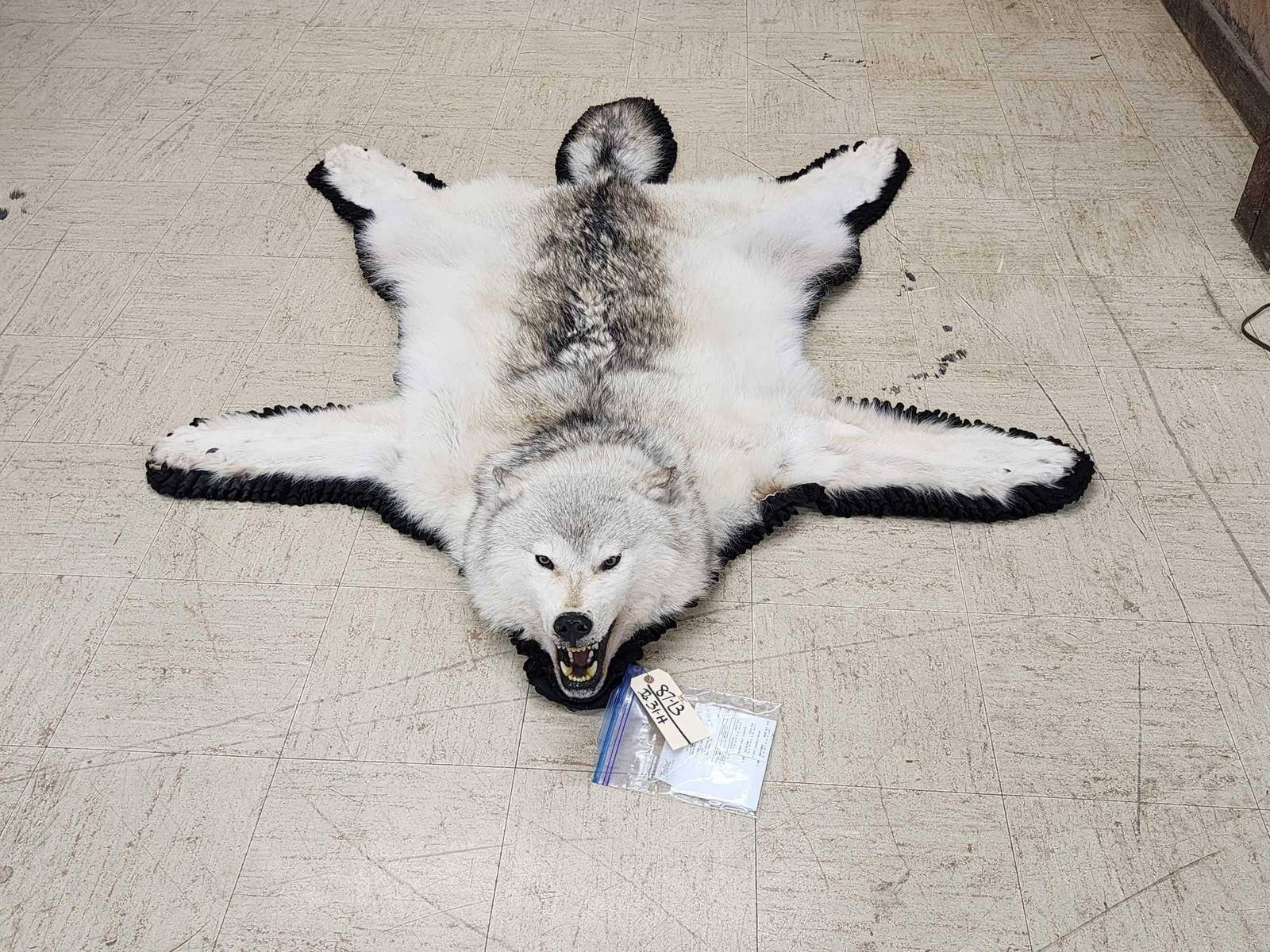 Alaskan Wolf Rug Taxidermy Auction