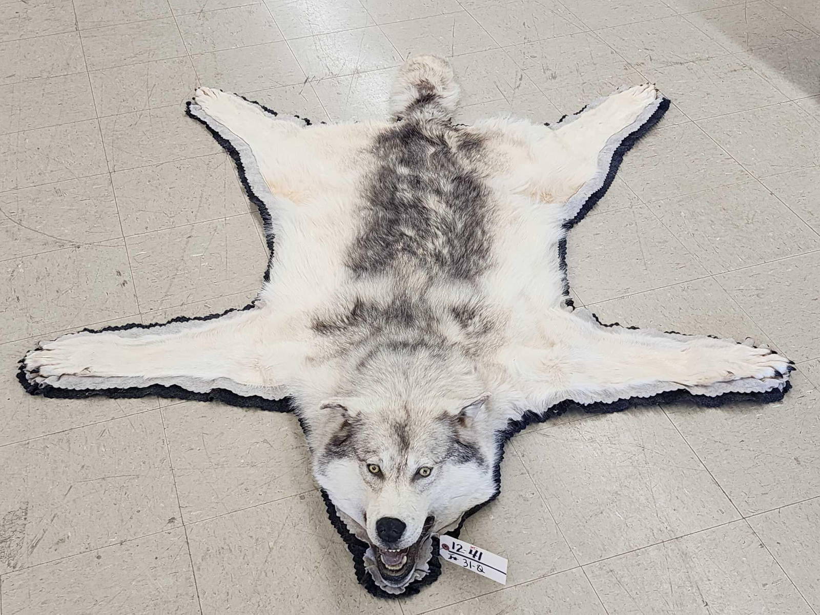 Wolf Rug Taxidermy Auction
