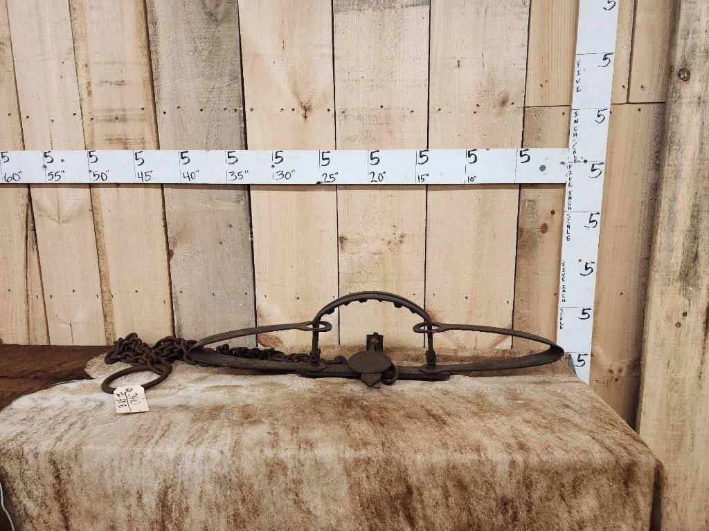 Oneida Newhouse Animal Trap Company #15 Bear Trap Auction