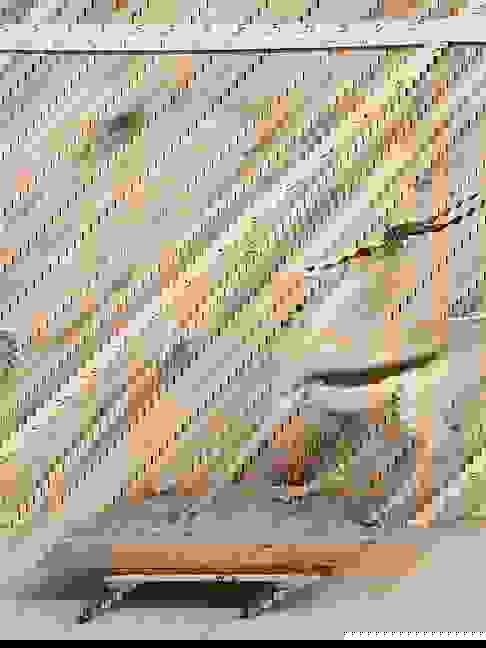 African Springbok Full Body Taxidermy Mount Auction