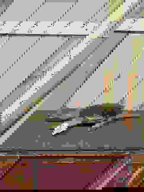 Snapping Turtle Full Body Taxidermy Mount Auction