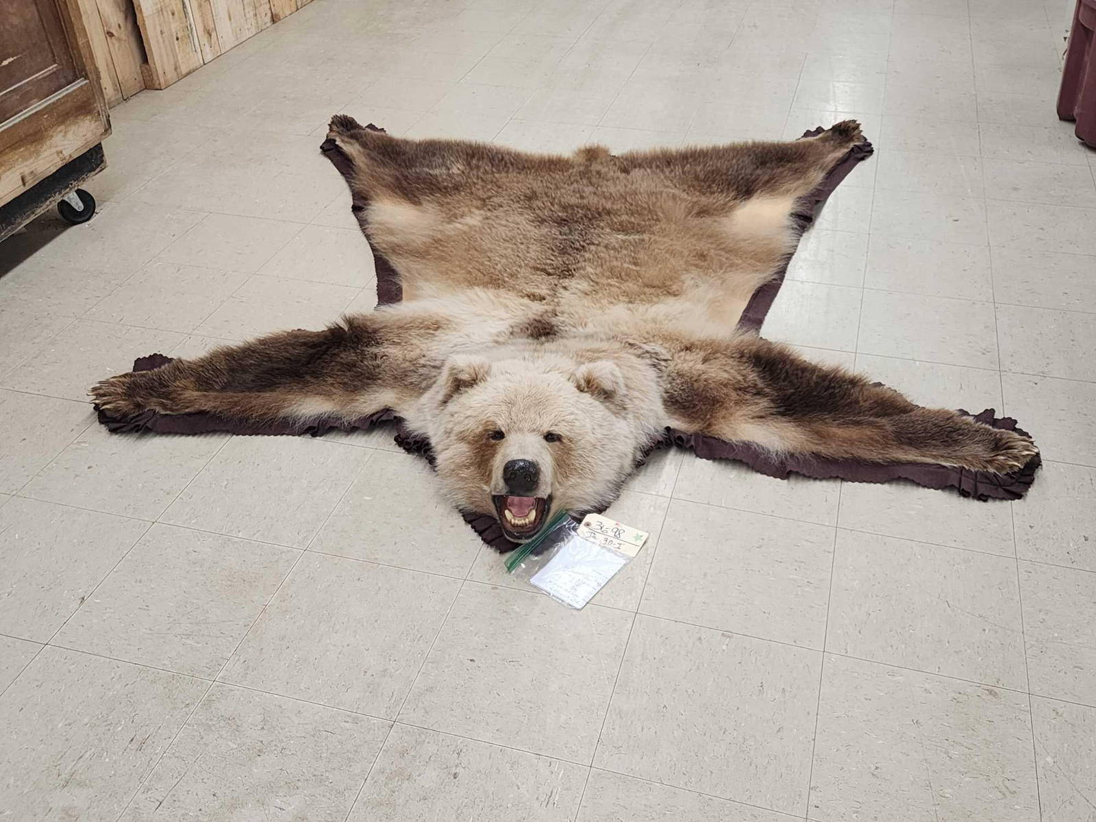 Alaskan Grizzly Bear Rug Taxidermy Auction