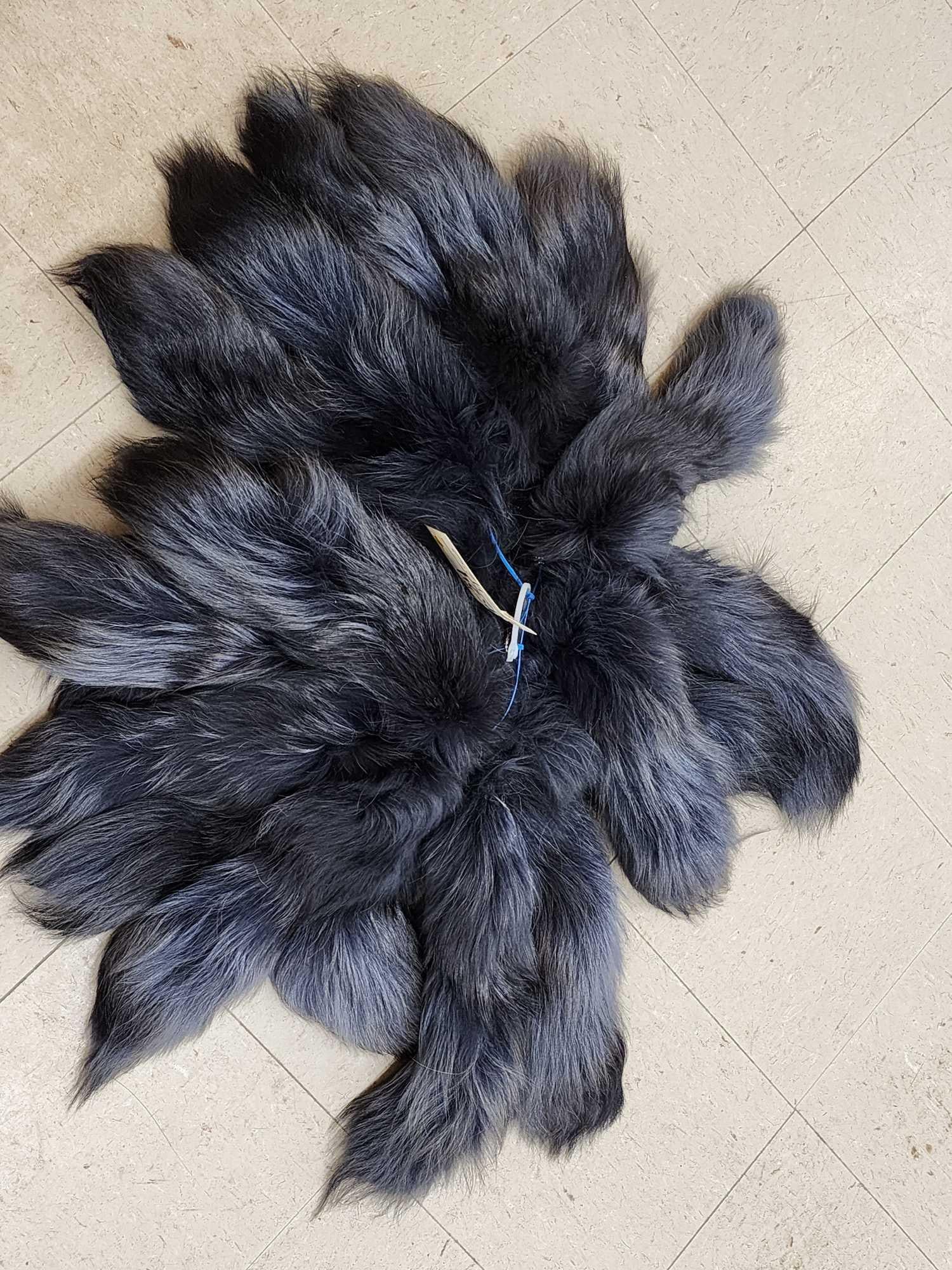 20 Dyed Fin Coon Or Tanuki Tails Taxidermy Auction