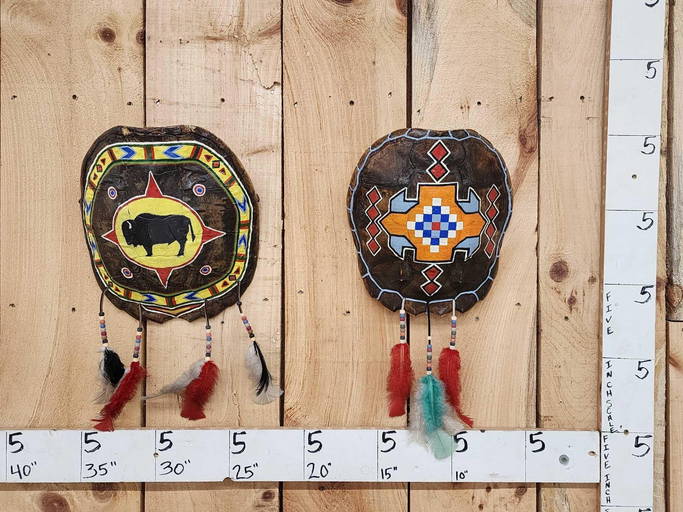 2 Hand Painted Snapping Turtle Shells