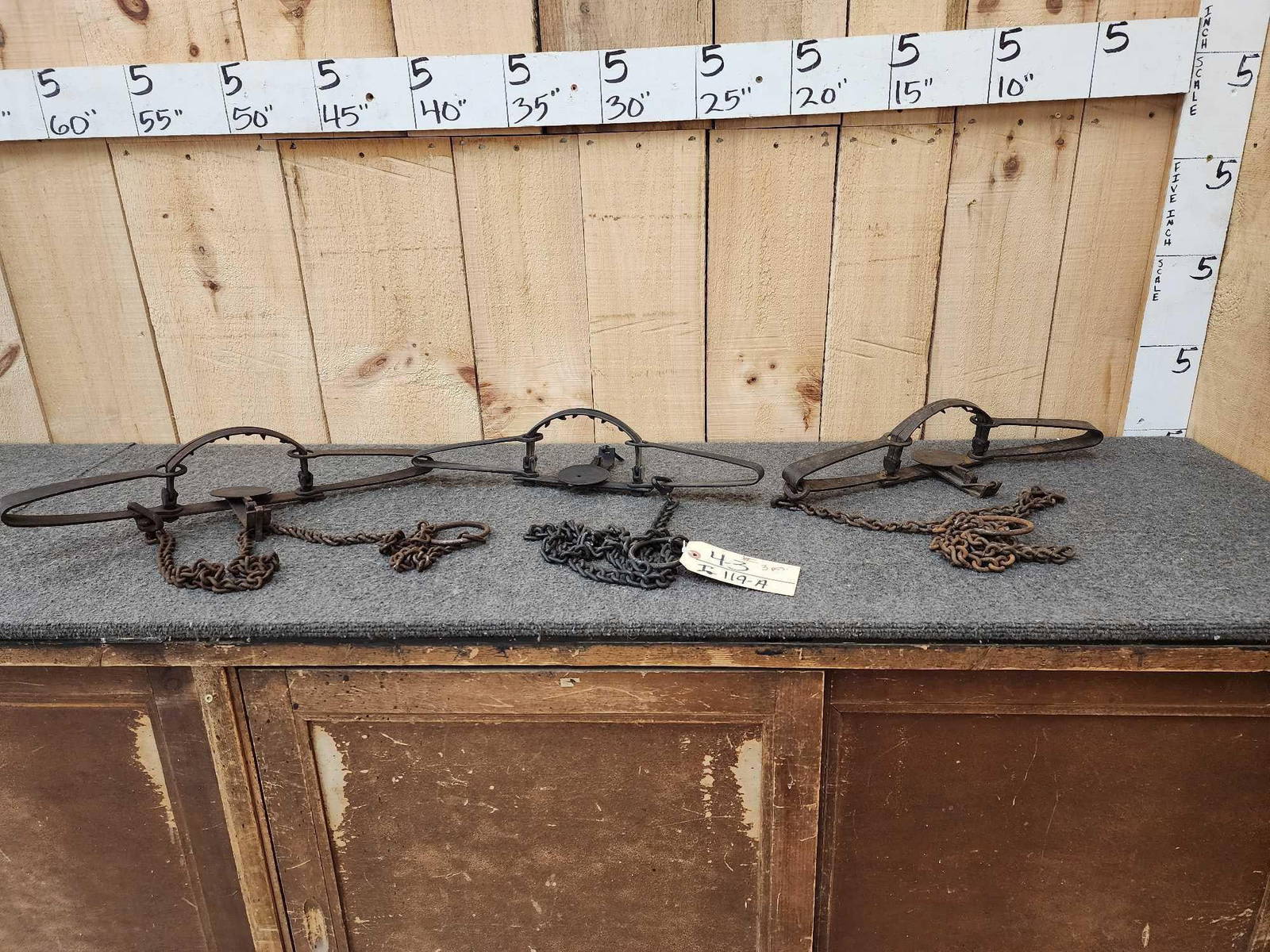 3 Newhouse #48 Double Longspring Traps With Teeth Auction