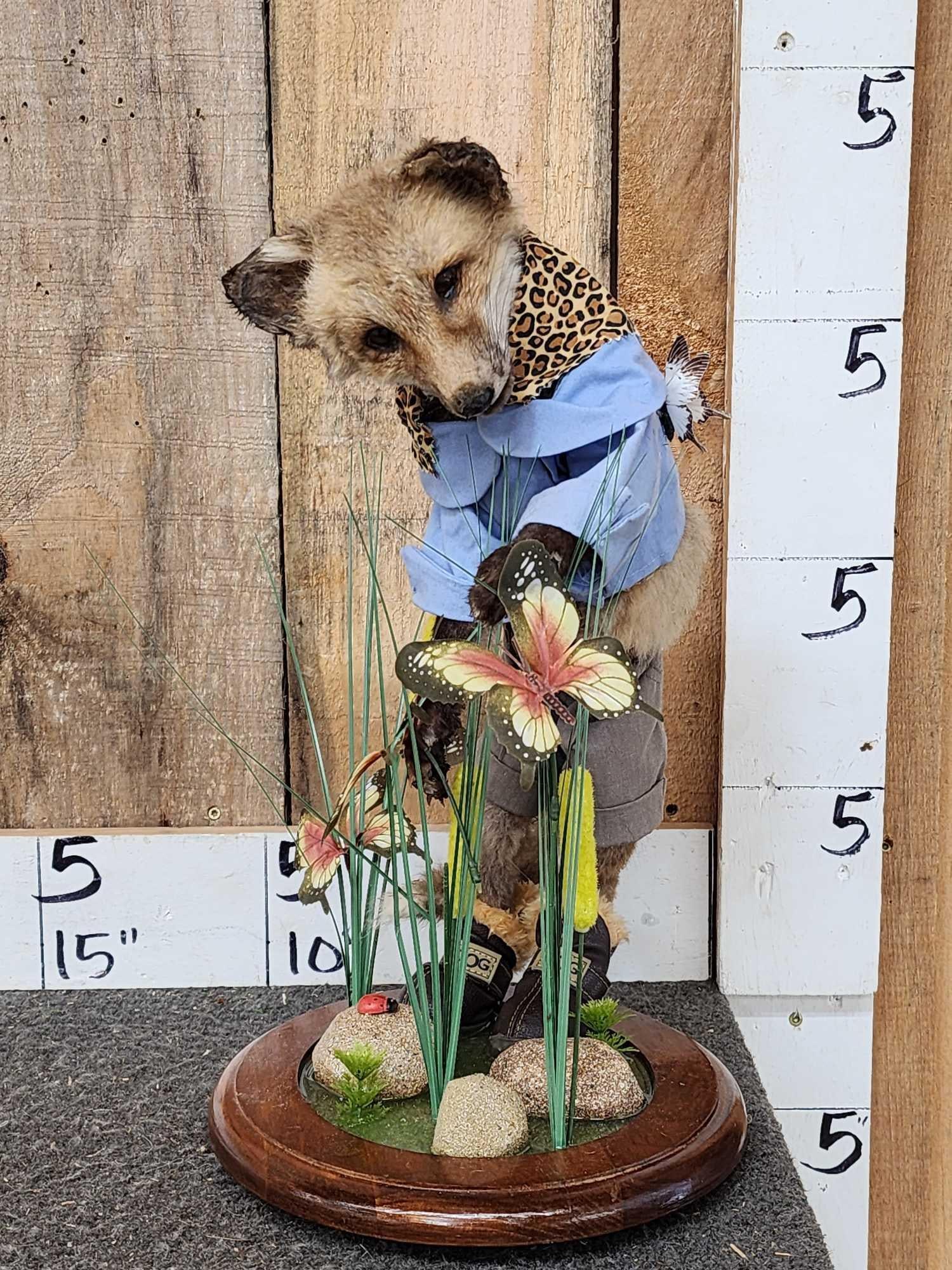 Baby Kit Fox Playing With Butterflies Auction