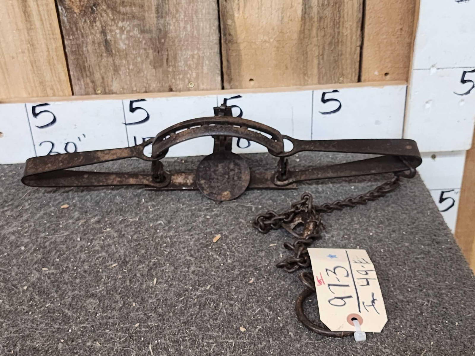 Oneida Newhouse Animal Trap Company # 14 Double Long Spring Trap With ...