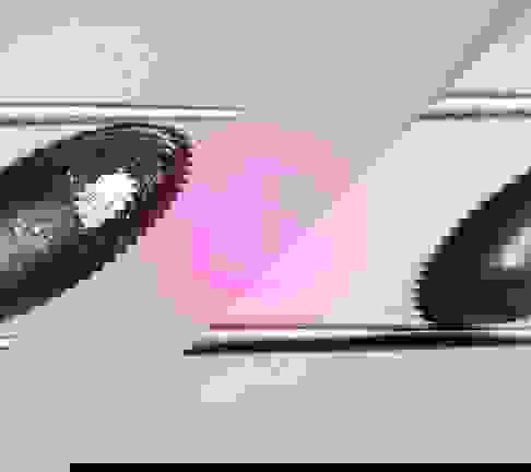 Buy Natural Ruby Cats Eye Cab - 12 Carats | Fantasy Jewelry In Muscat