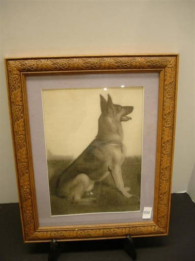 Pen & Ink Drawing German Shepard