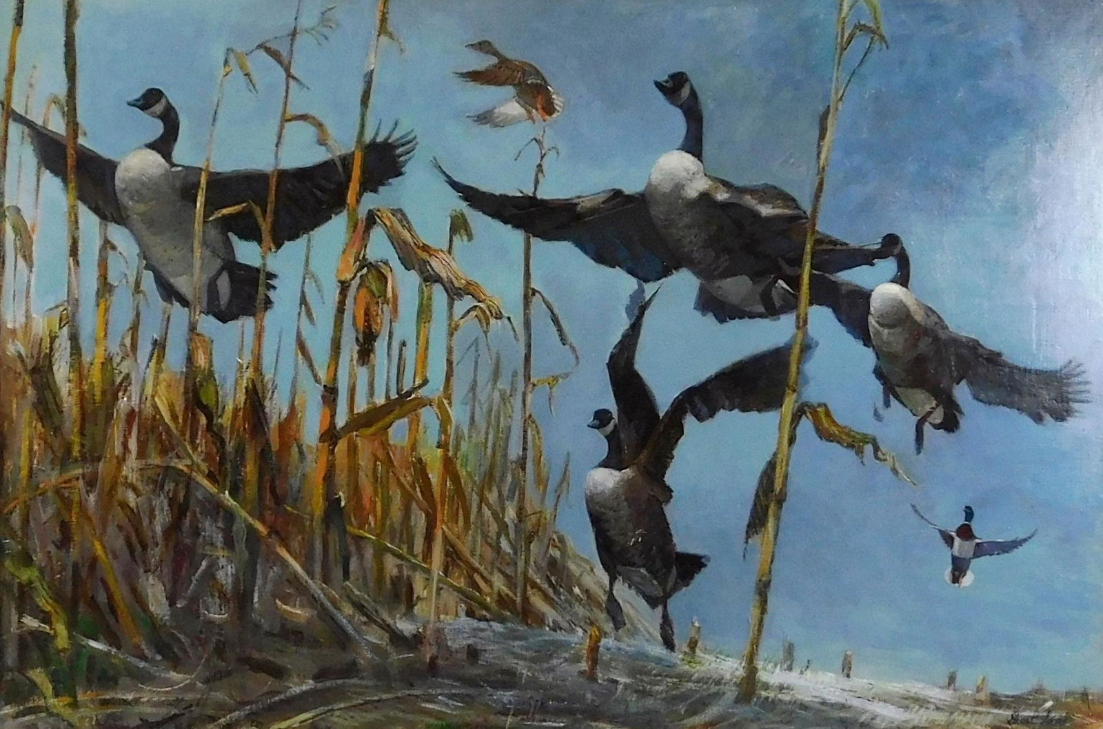 Grant Lamb (connecticut, 20th C.), "geese In Cornfield", 1981, Acrylic ...