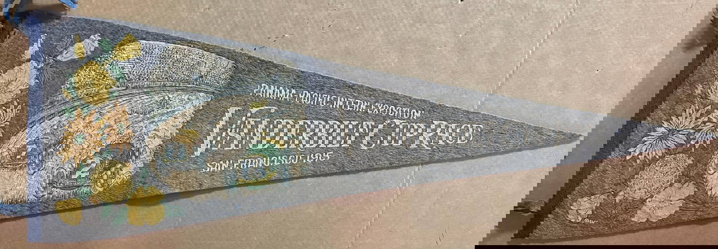 1915 San Francisco Vanderbilt Cup Race Pennant, Gray With Detailed Race ...