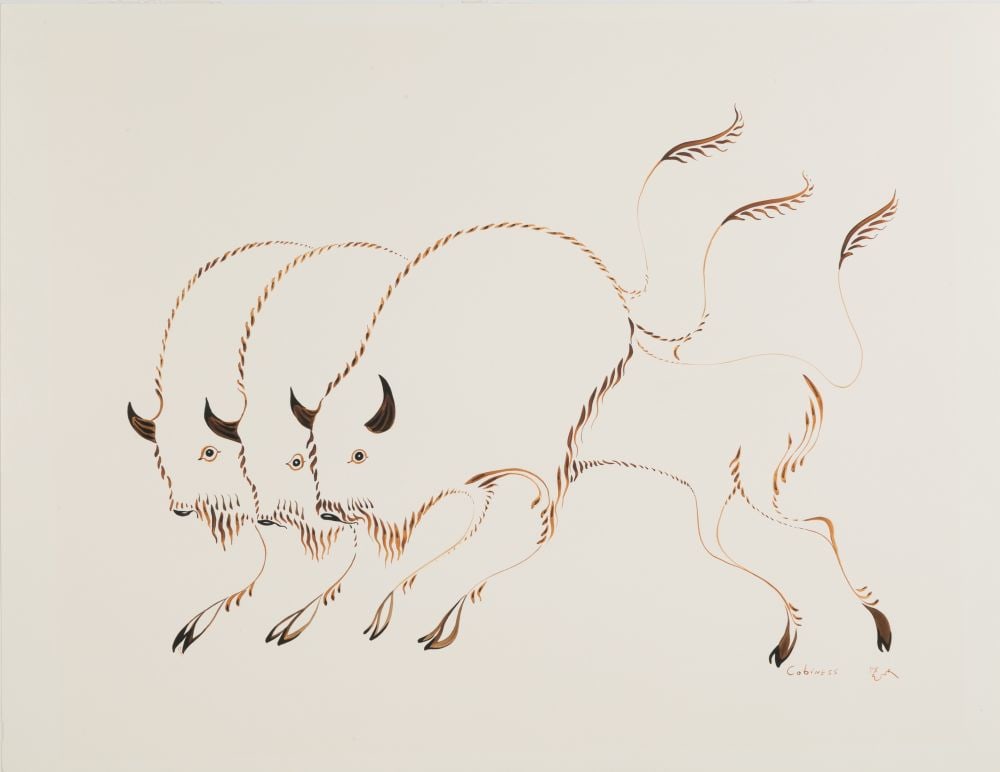 Eddy Cobiness, First Nations, Buffalo Bulls, 1978 Auction