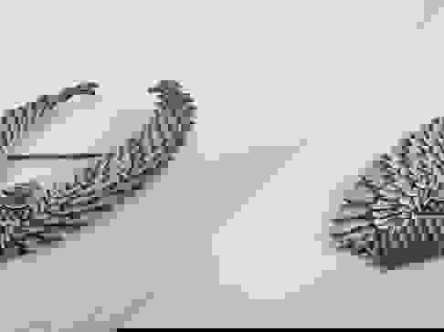 Caa Civil Aeronautics Authority Cap Badge Auction