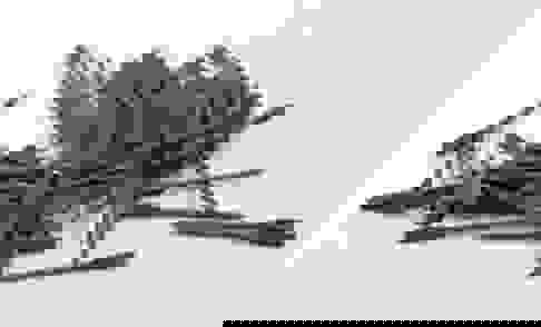 Lot Of Vietnam War Beehive Rounds. Auction