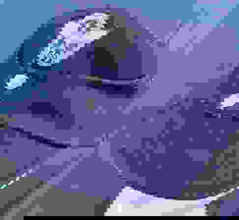 Ww2 Wwii German Police M43 Cap Auction