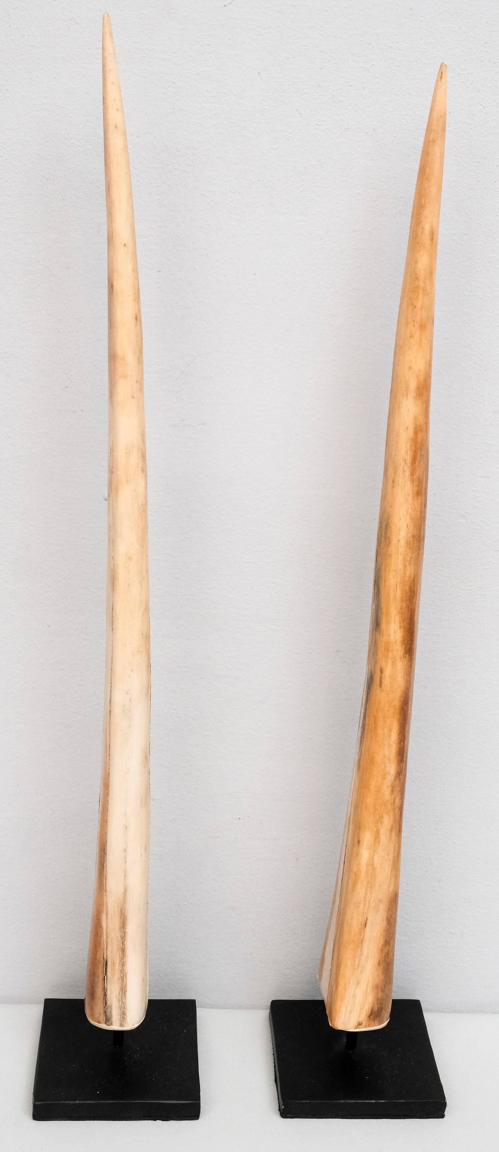Pair Of Resin Cast Walrus Tusks Auction