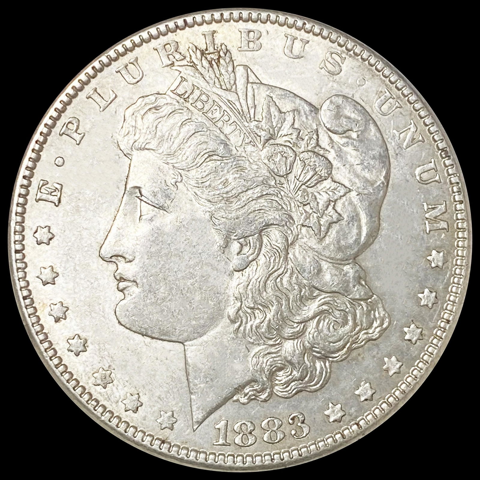 1883 Morgan Silver Dollar UNCIRCULATED - Nov 20, 2022 | Gold Standard ...