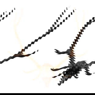 Factory Rack Auction