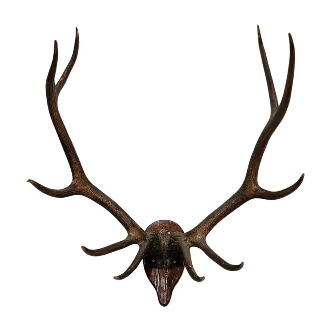 Large Monumental 10 Point Elk Rack Antlers Auction
