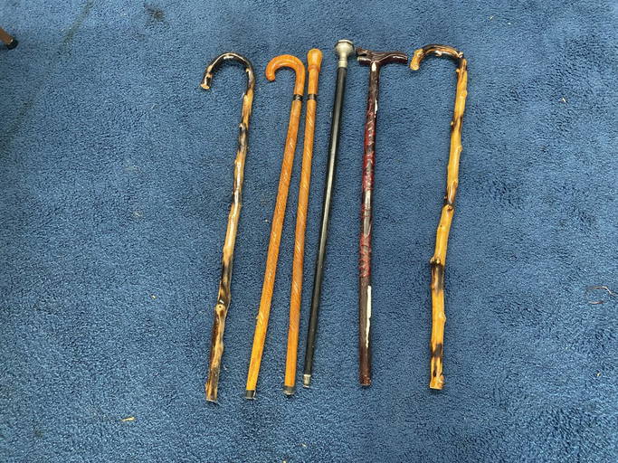 Grouping Of Walking Sticks