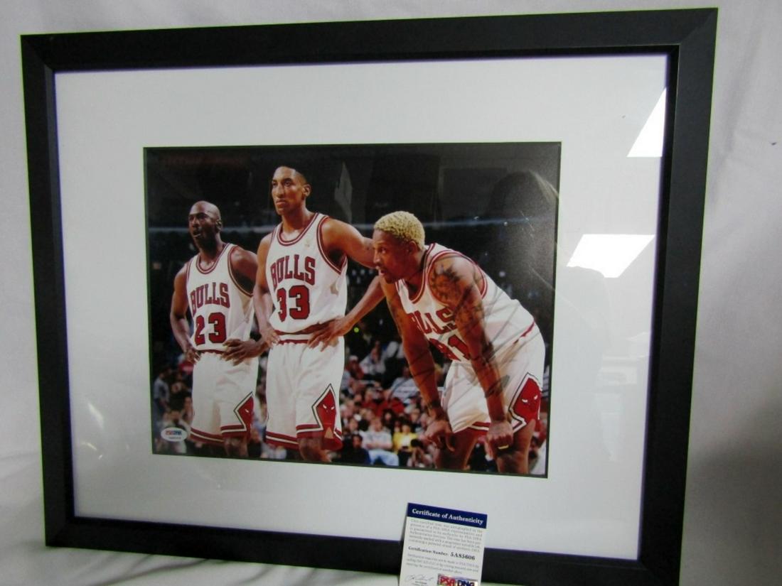 Psa/dna Dennis Rodman Autograph Photo Auction
