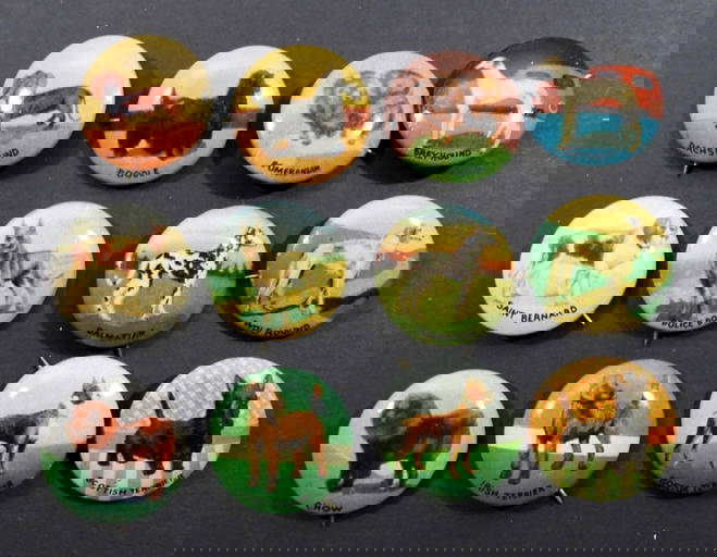 (12) 1932 Orbit Gum Dog Pins