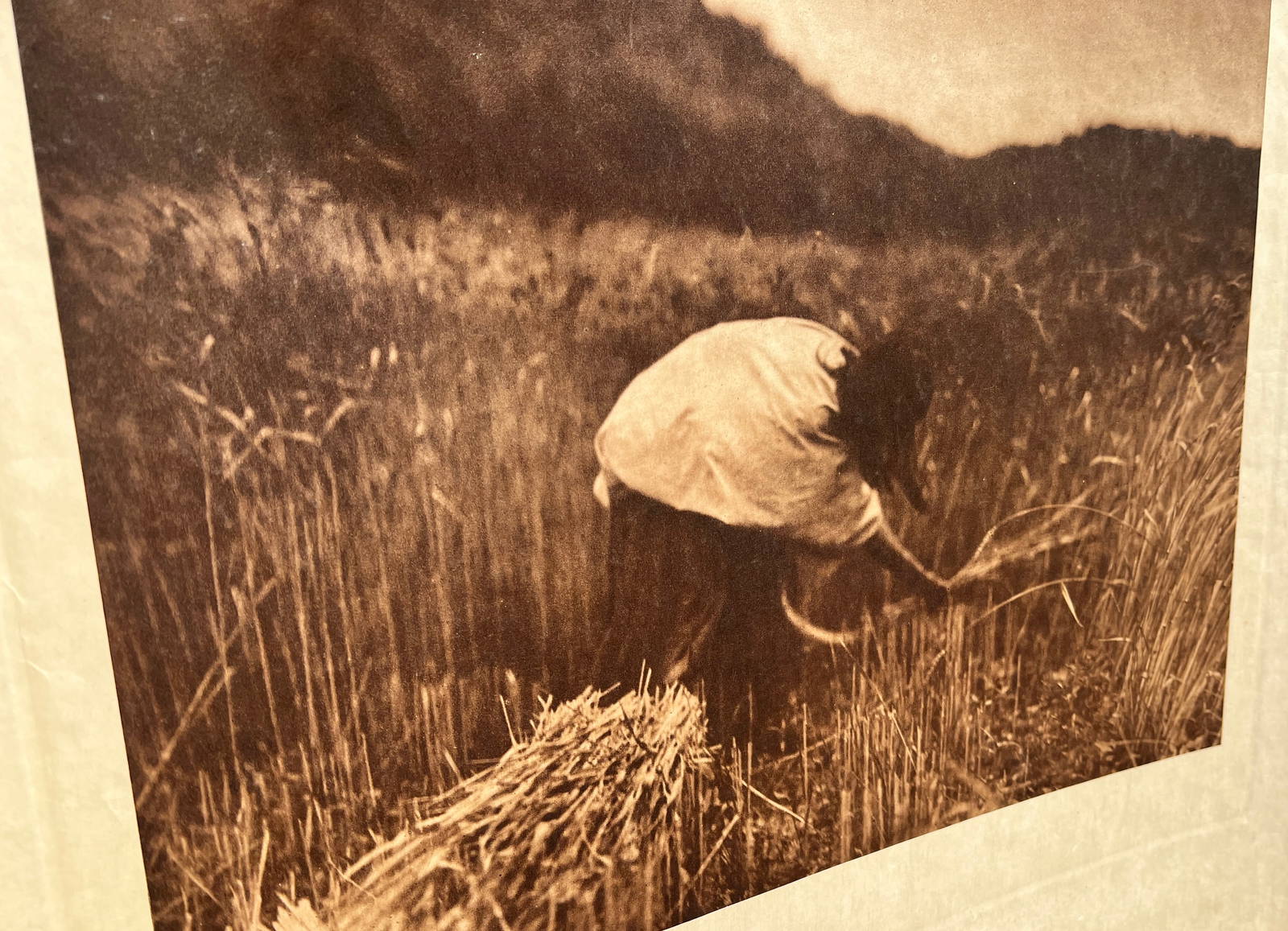 Original Edward Curtis American Indian Photograph Apache Reaper Auction
