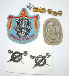 51 Us Special Forces Badges And Insignia