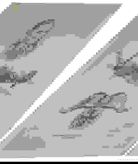 Wwii German Ace Gunther Rall Signed Print Artist Ortega Auction