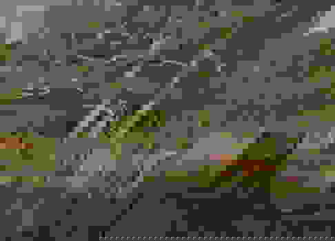 Albert Otto Tiemann, Wisconsin (1868-1948), Trail Stump, Oil On Canvas ...