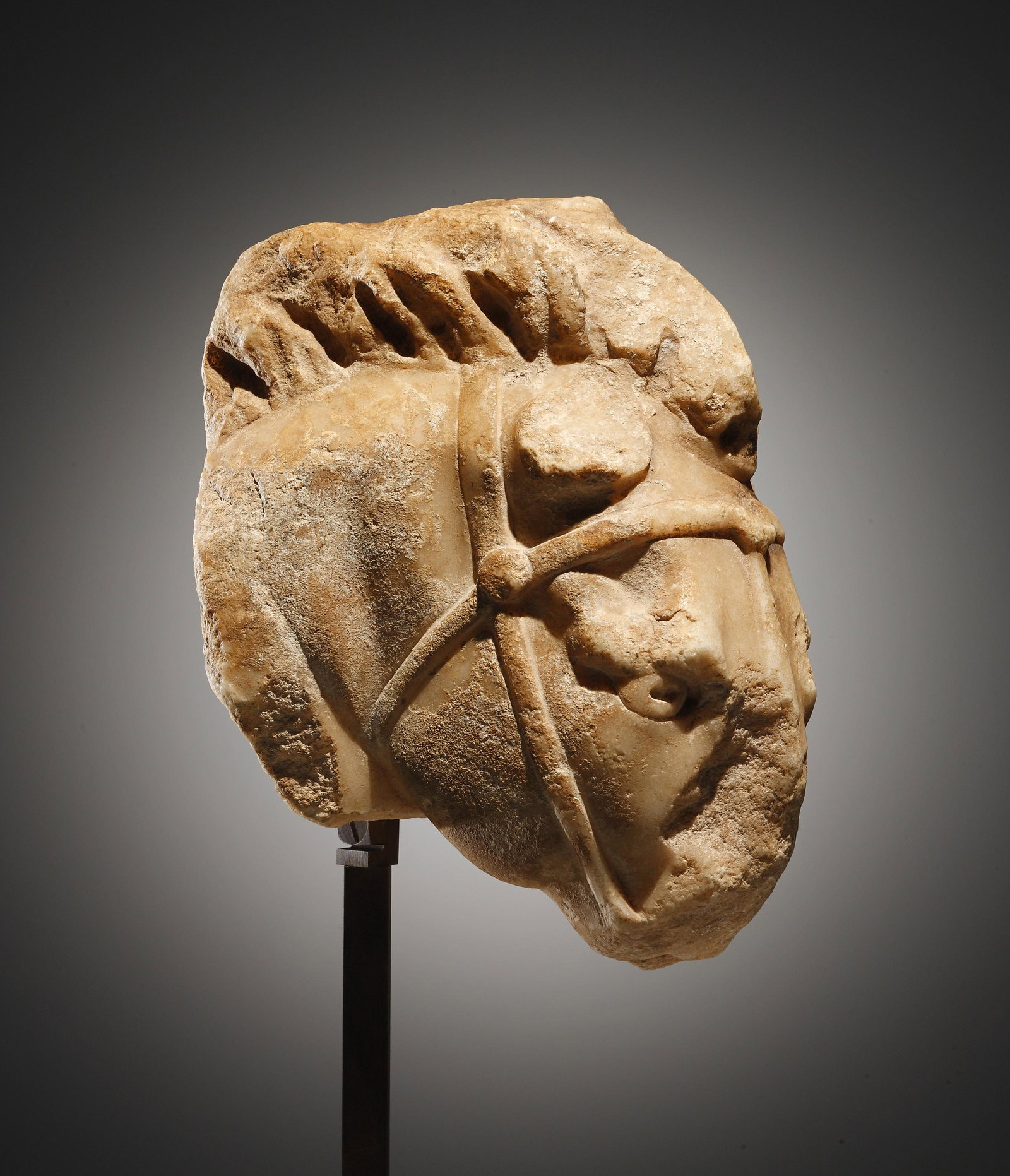 A Head of a Horse - Jul 07, 2020 | Jean-David Cahn AG in Switzerland