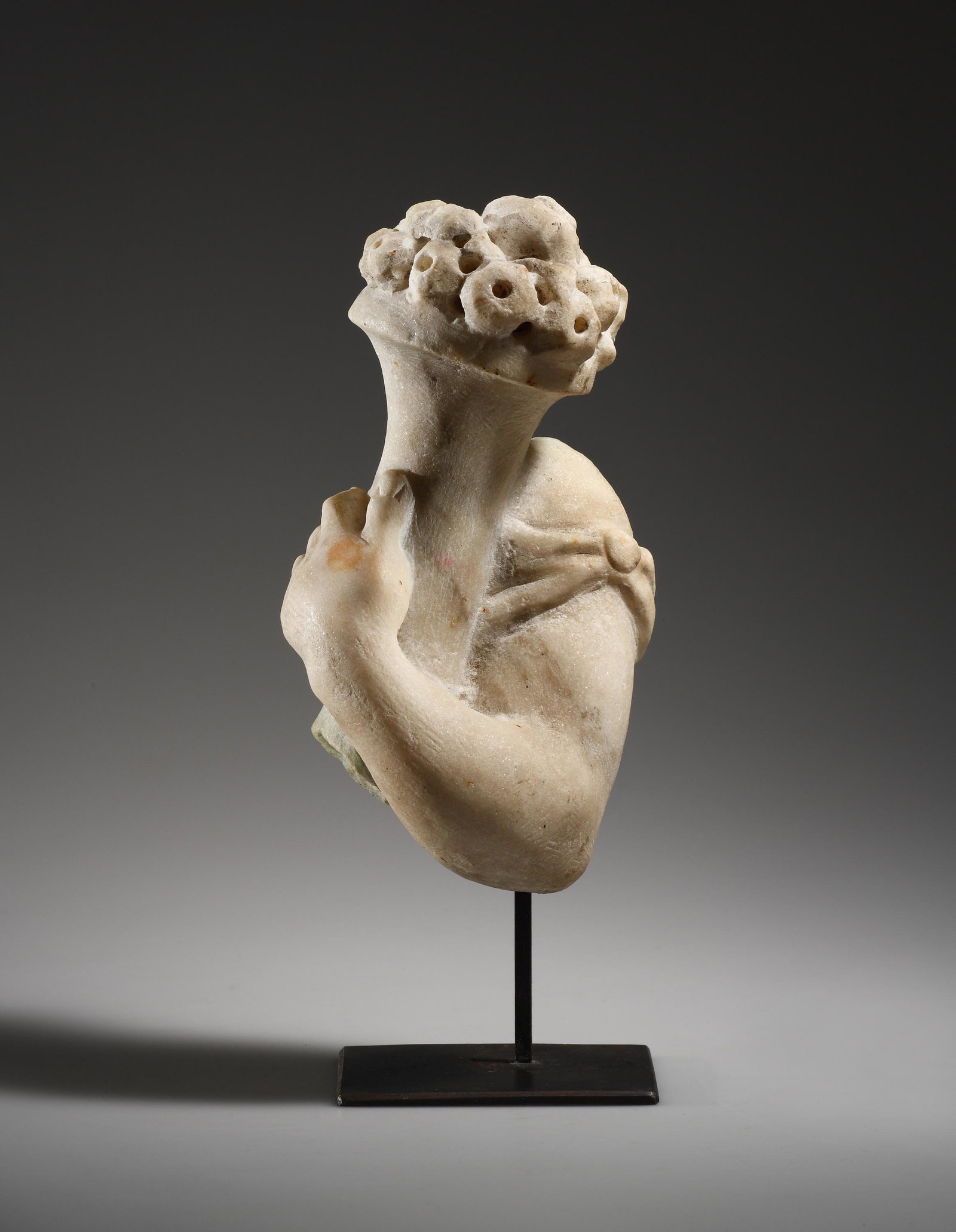 A Left Arm of Fortuna with Cornucopia - Jul 07, 2020 | Jean-David Cahn ...
