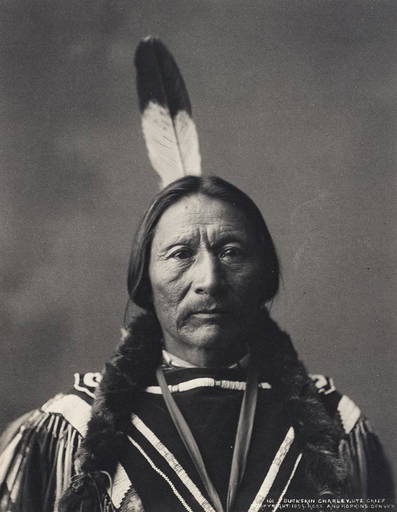 Rose & Hopkins Buckskin Charley Ute, Platinum Print