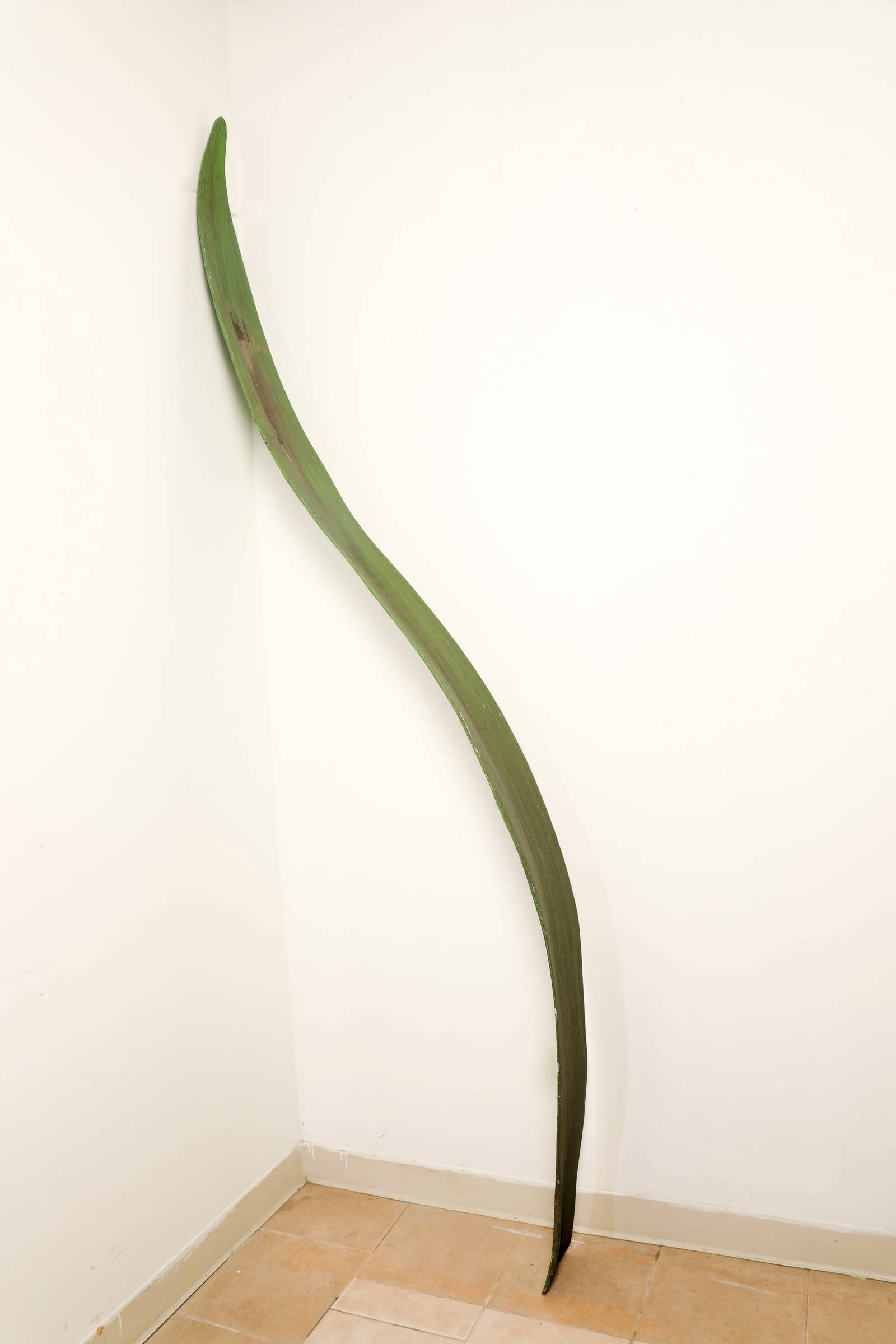 Pixie Hollow Tinker Bell Meet And Greet Large 9ft Grass Prop. Auction