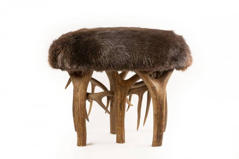 Elk Antler Stool With Beaver