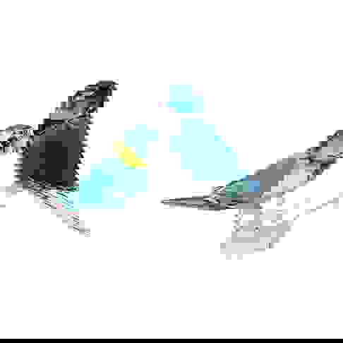 Swarovski (5577124) Jungle Beats Parakeet Couple Fife & Fifer Crystal ...