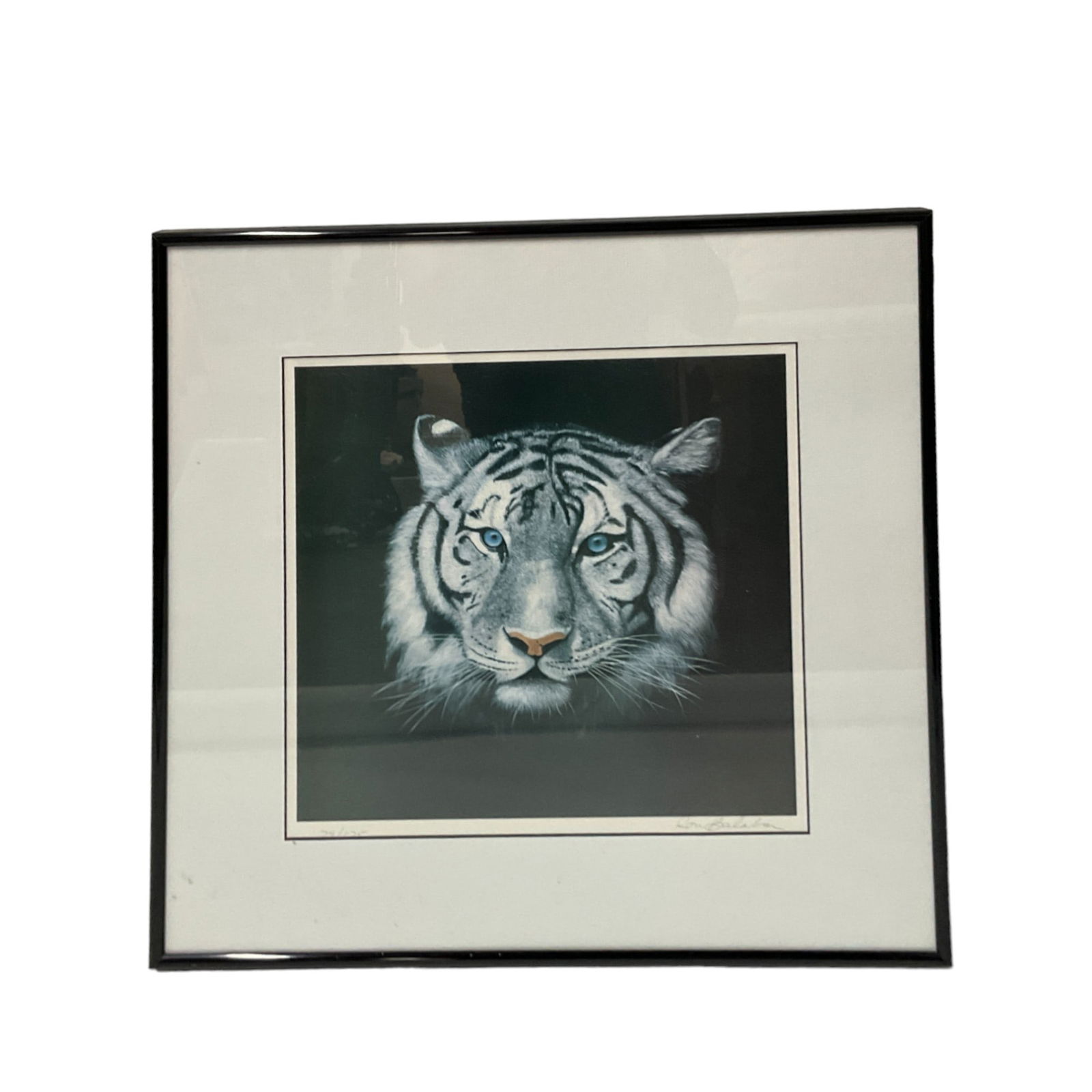 Ron Balaban (american) Signed And Numbered Lithograph Auction