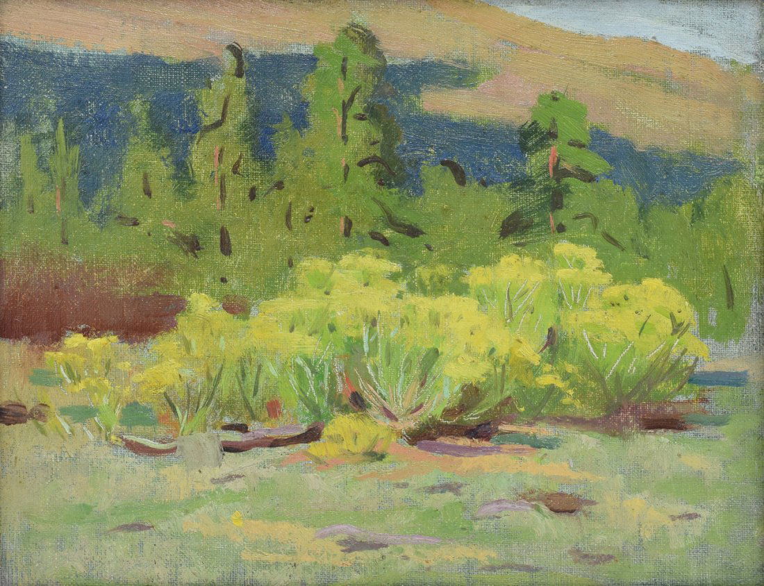 Mary Russell Ferrell Colton Chamisa In Bloom