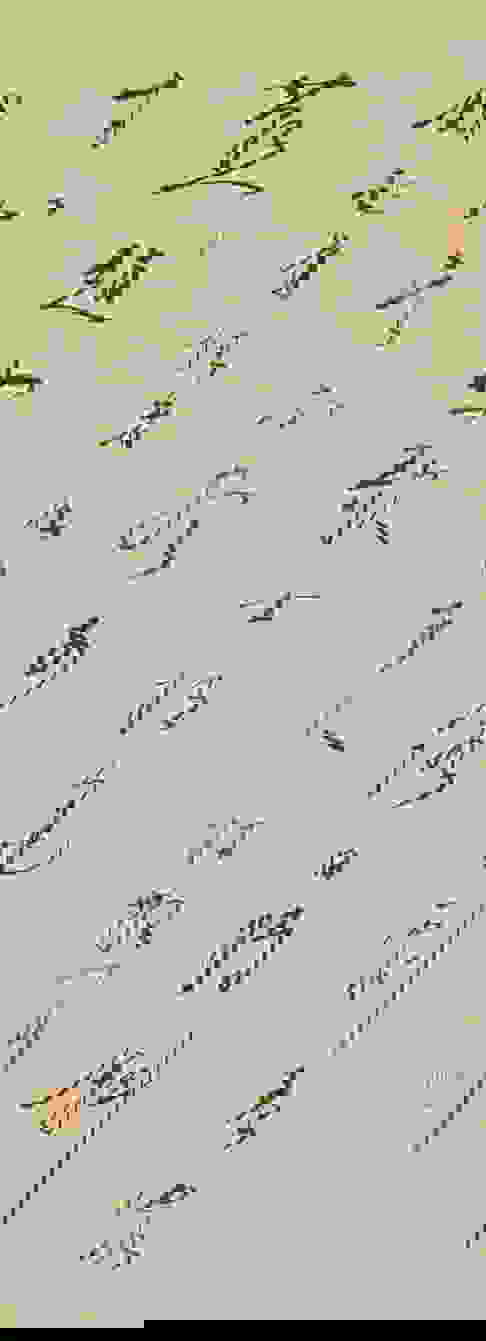 Lin Sanzhi, Calligraphy, Paper Auction