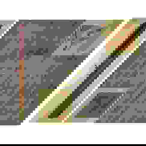 Chinese Drawing Tree And Calligraphy Hand Scroll,huang Tingjian Mark ...