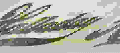 Halladay Automobile Co Brass Radiator Script Emblem Auction