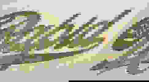 Brass The Rapid Radiator Script Emblem Auction