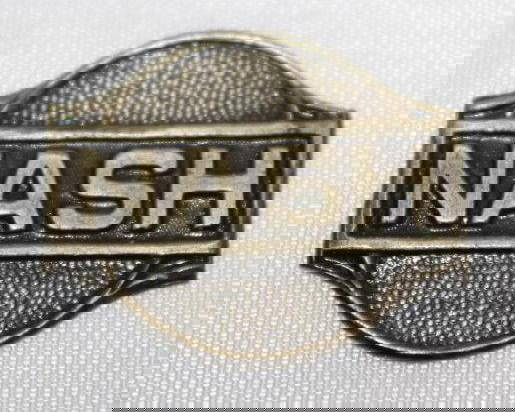 1927 1928 Nash Motor Car Co Instrument Panel Emblem Badge