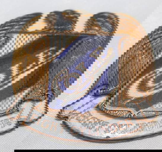 1916 1920 Cole Motor Car Co 8 Cylinder Radiator Emblem Badge