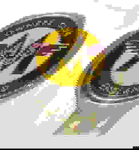 Ajs & Matchless Owners Club License Plate Topper Auction