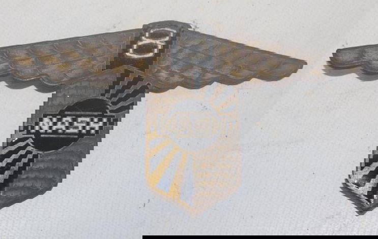 1930-31 Nash 8 Cloisonne Automobile Radiator Emblem Badge Auction