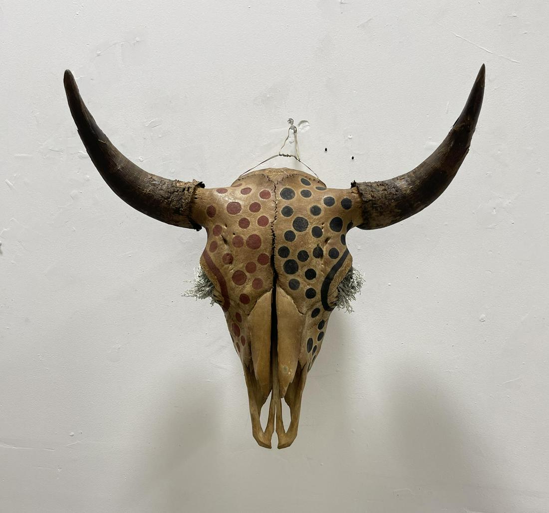 Arapaho Native American Painted Buffalo Skull Auction